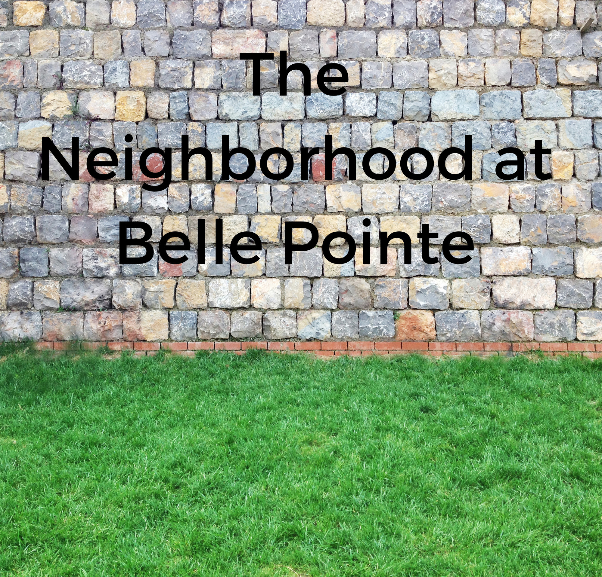 The Neighborhood at Belle Pointe Section B